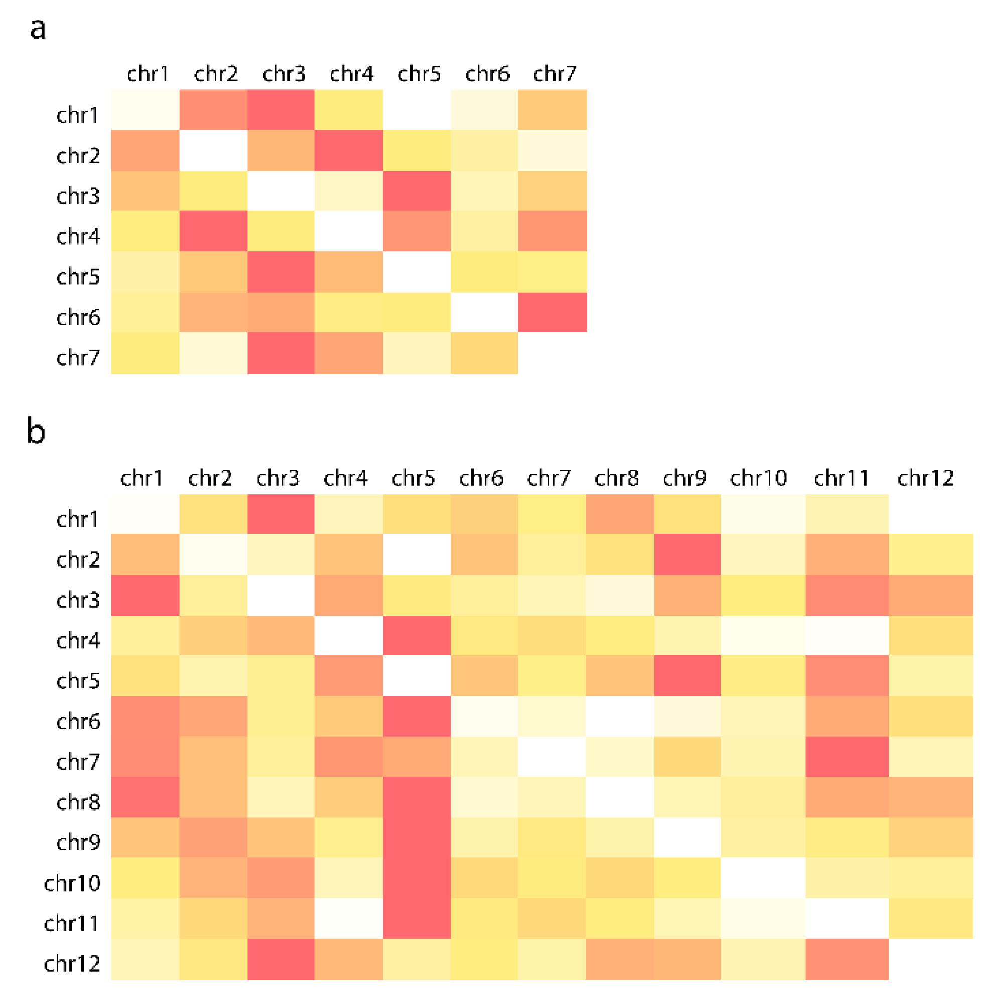 A Multigraph-Based Representation of Hi-C Data