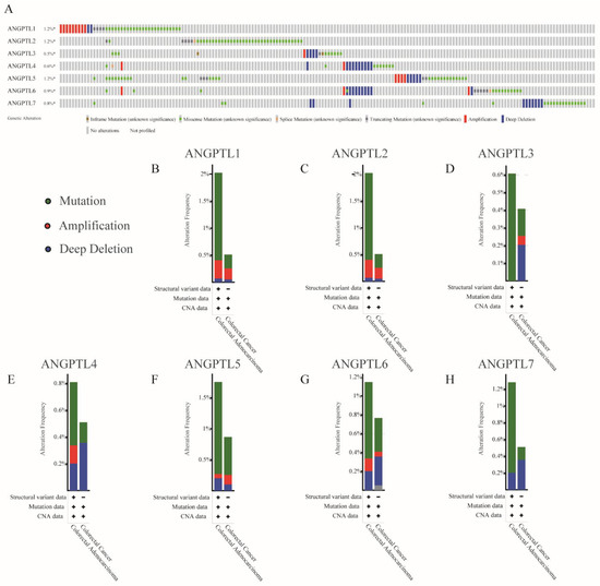 Comprehensive Analysis of Potential Prognostic Values of ANGPTLs in Colorectal Cancer