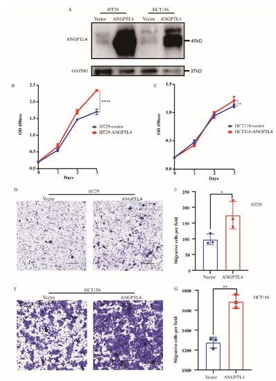 Comprehensive Analysis of Potential Prognostic Values of ANGPTLs in Colorectal Cancer
