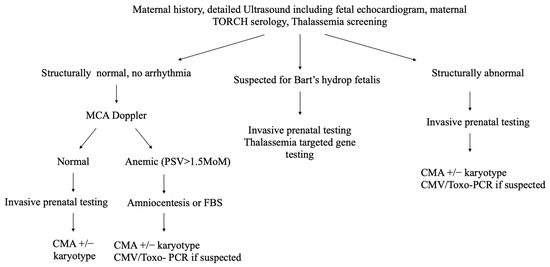 An Investigation of the Etiologies of Non-Immune Hydrops Fetalis in the ...