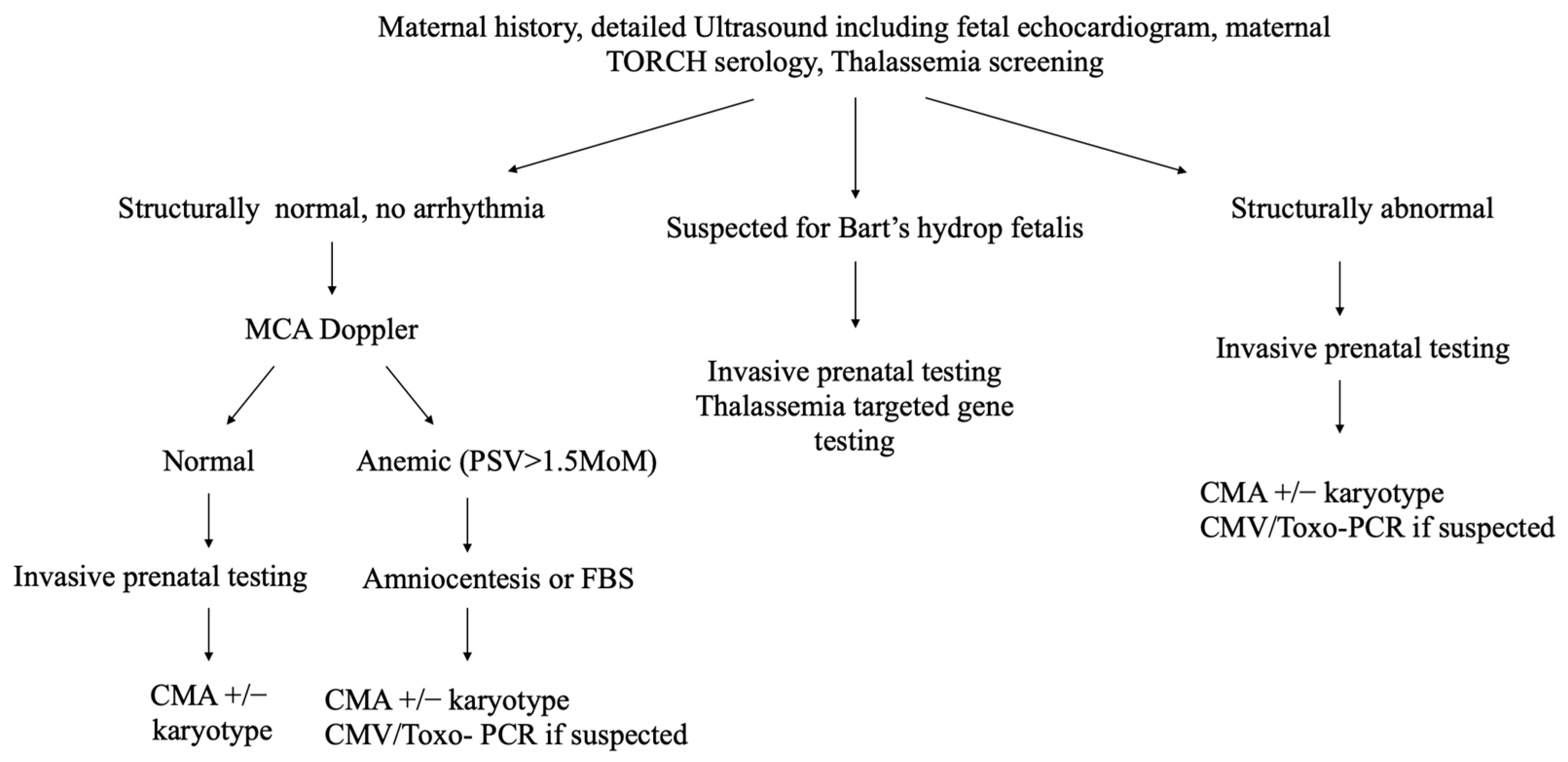 An Investigation of the Etiologies of Non-Immune Hydrops Fetalis in the ...