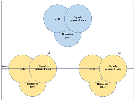 Genetic, Epigenetic and Environmental Factors Influence the Phenotype ...