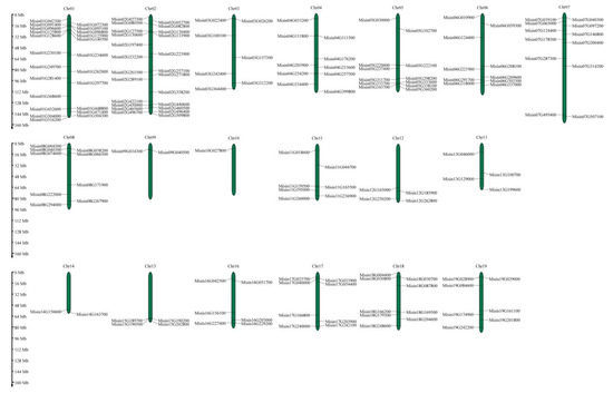 Genome-Wide Identification and Expression Profile of the HD-Zip ...