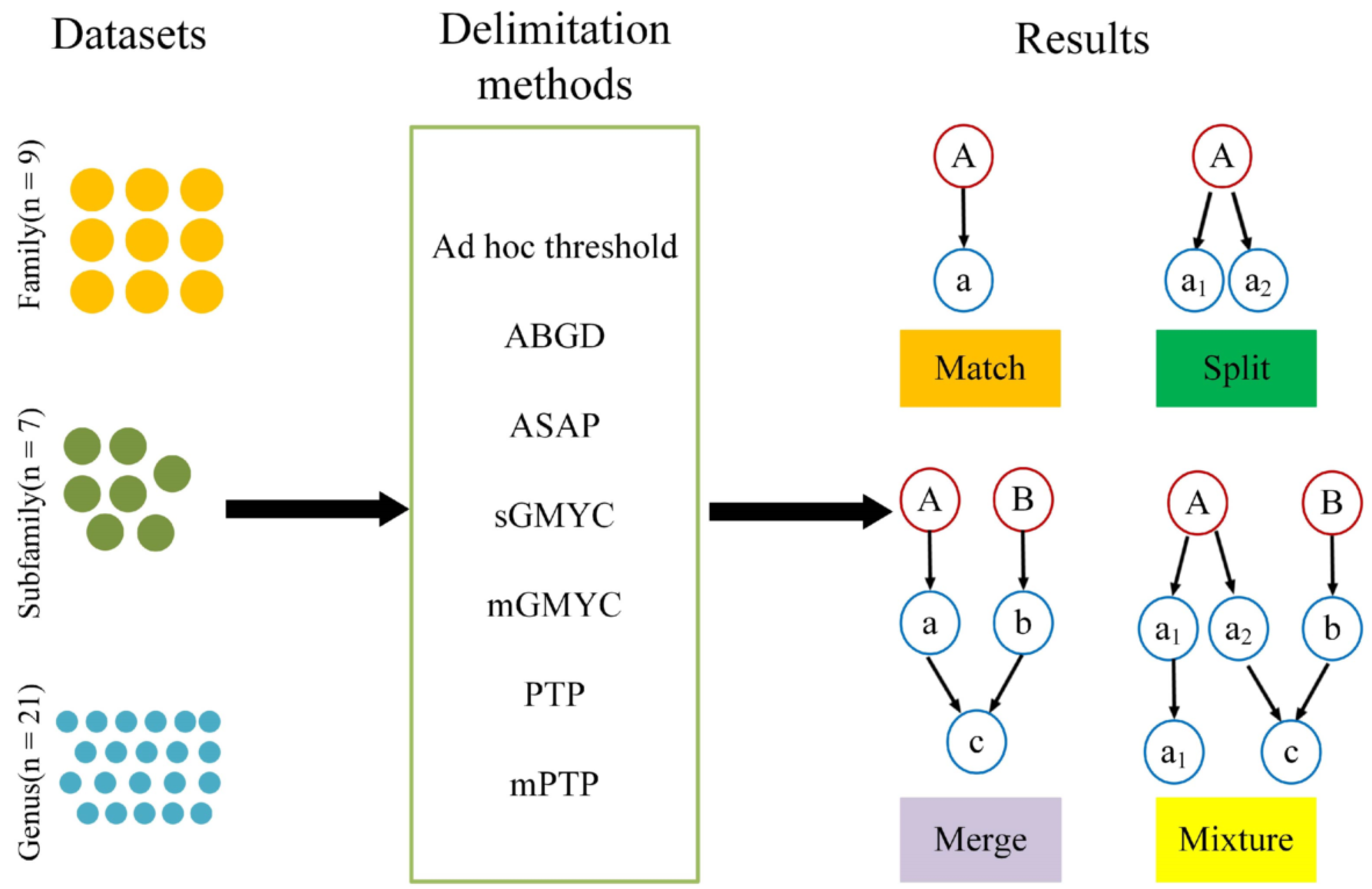Genes | Free Full-Text | Comparing the Efficiency of Single-Locus ...