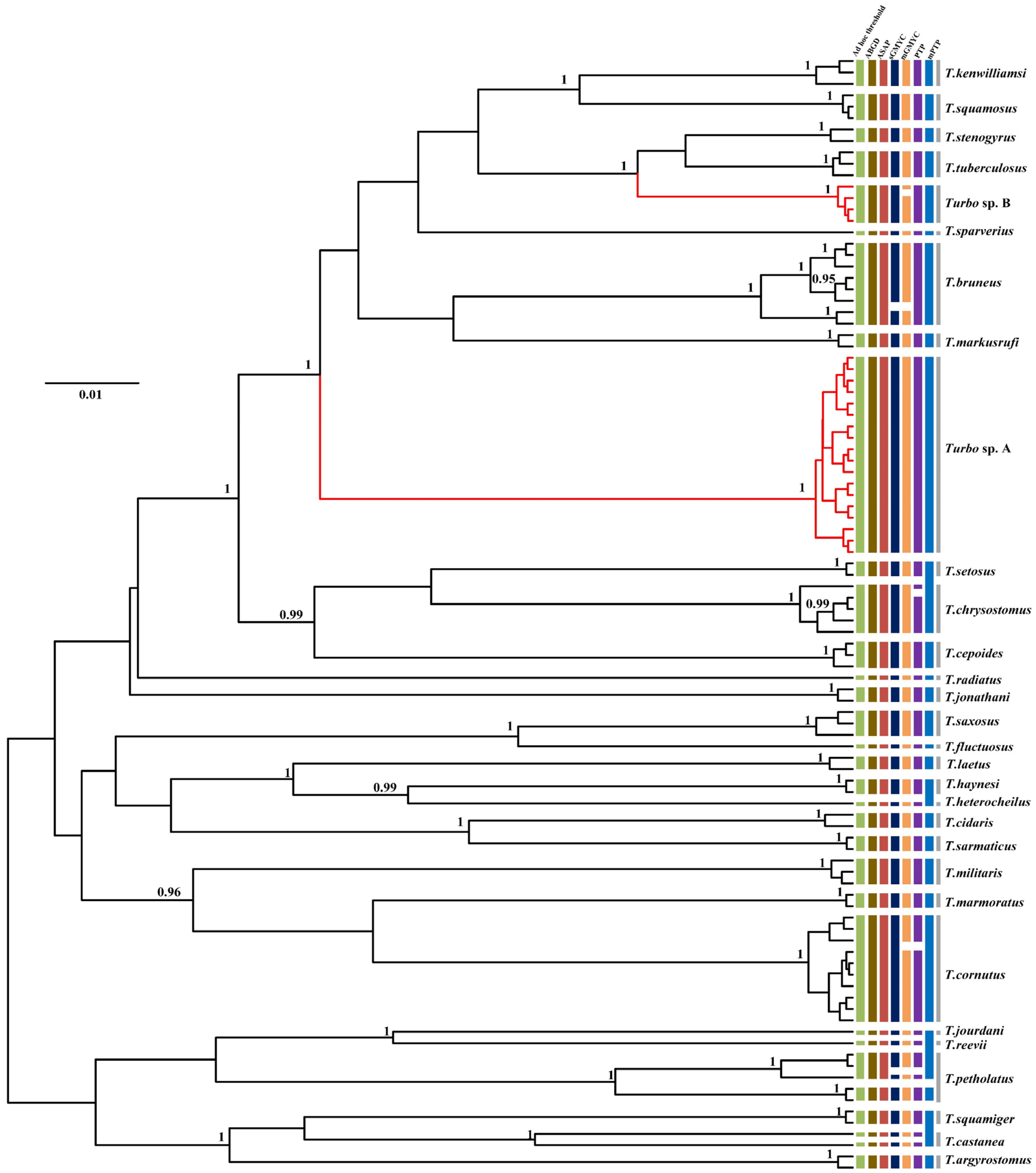Genes | Free Full-Text | Comparing the Efficiency of Single-Locus ...
