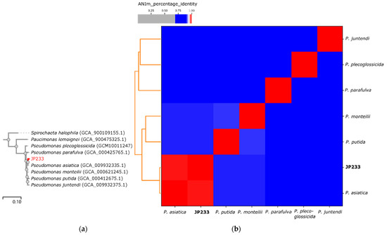 Genomic Analysis of Pseudomonas asiatica JP233: An Efficient Phosphate ...