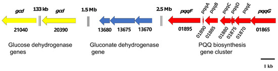 Genomic Analysis of Pseudomonas asiatica JP233: An Efficient Phosphate ...