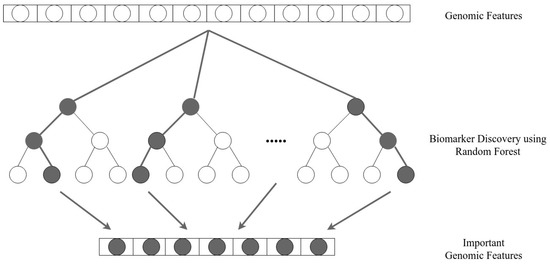 Biomarker Discovery for Meta-Classification of Melanoma Metastatic ...