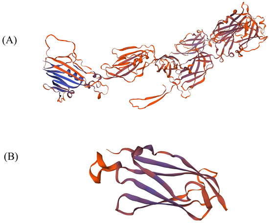Evolutionary Relationships and Divergence of Filamin Gene Family ...