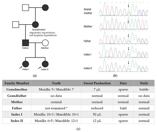 Genes | Free Full-Text | Molecular Pathway-Based Classification of ...