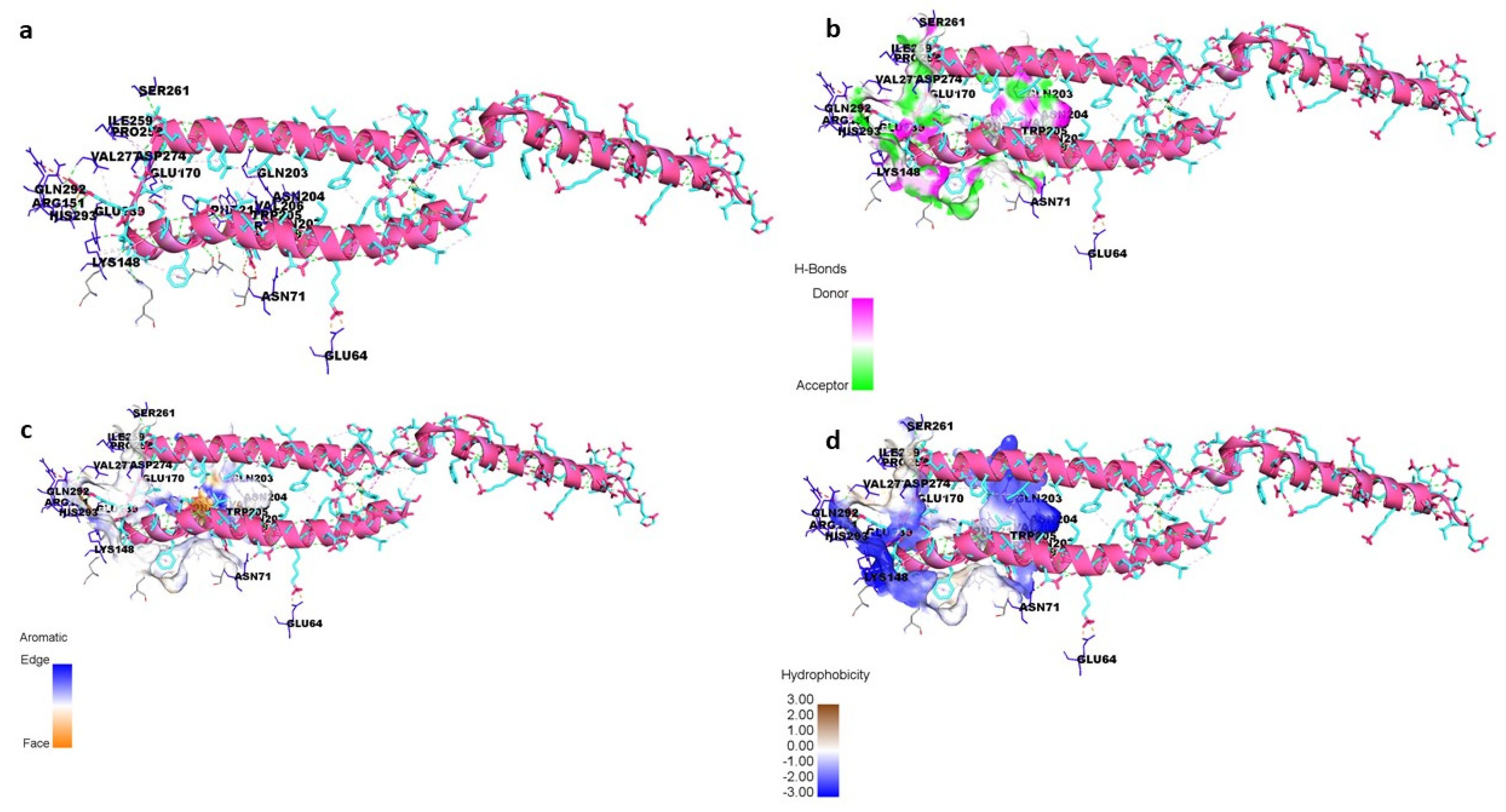 Molecular Characterization, Purification, and Mode of Action of ...