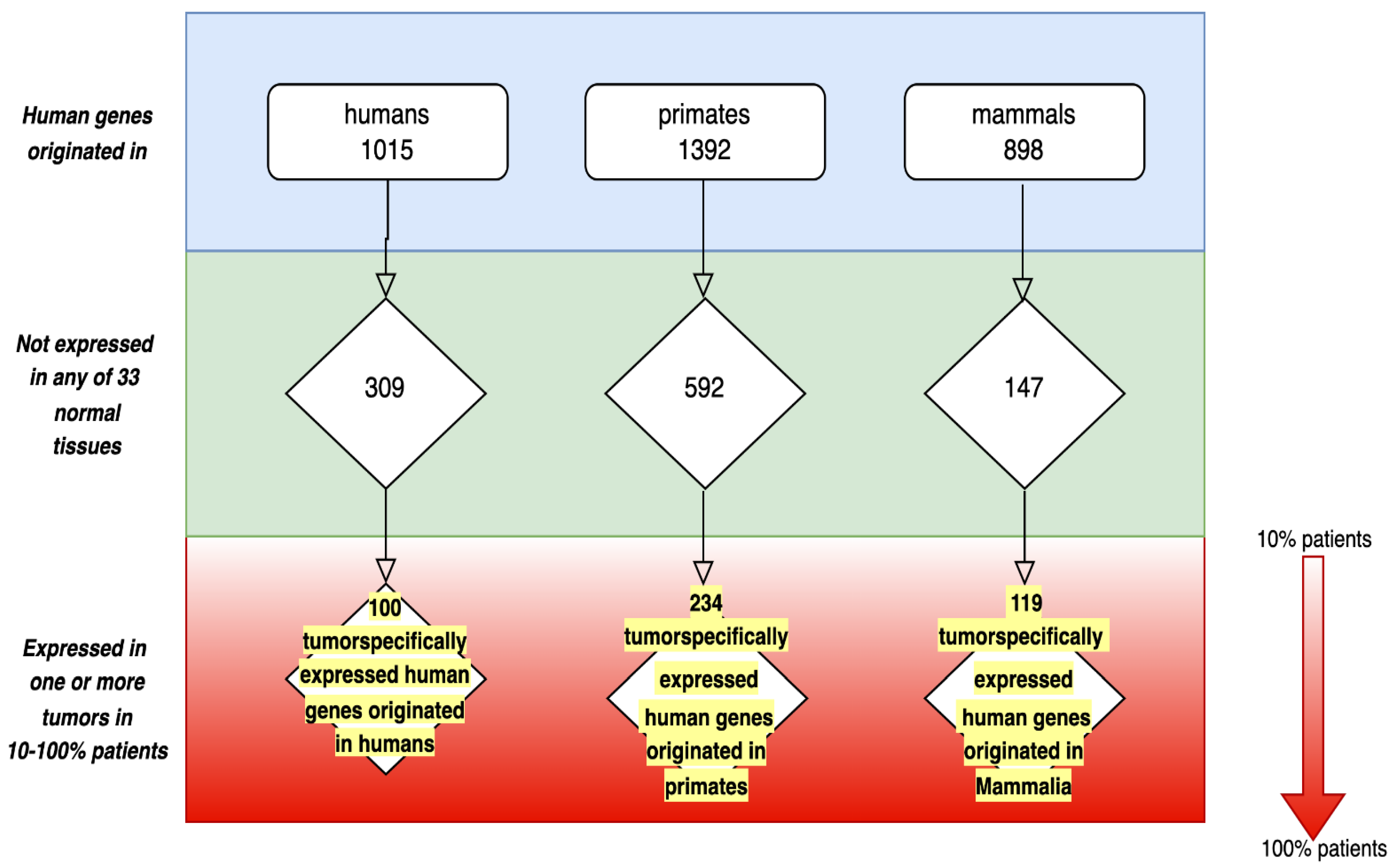The Theory of Carcino-Evo-Devo and Its Non-Trivial Predictions