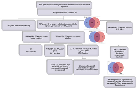 The Theory of Carcino-Evo-Devo and Its Non-Trivial Predictions