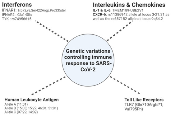 Genetic Variants and Protective Immunity against SARS-CoV-2