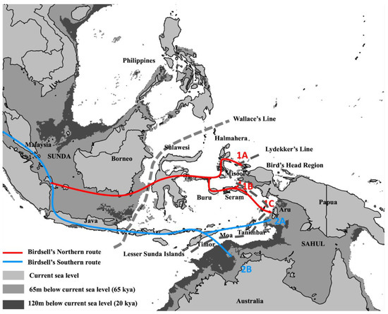 Human Genetic Research in Wallacea and Sahul: Recent Findings and ...