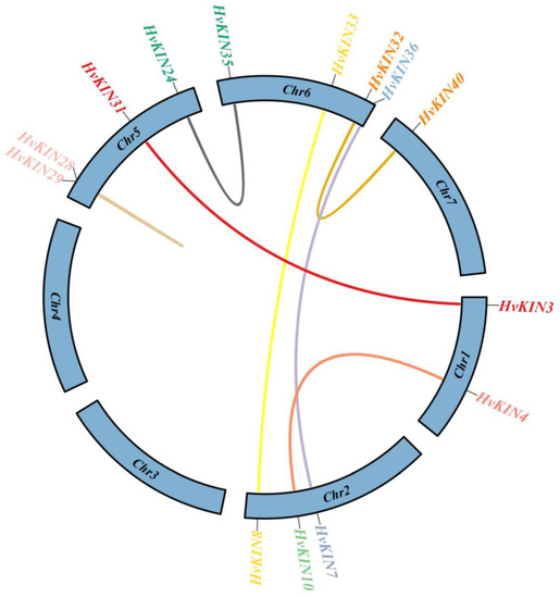 Genome-Wide Identification and Expression Analysis of Kinesin Family in ...