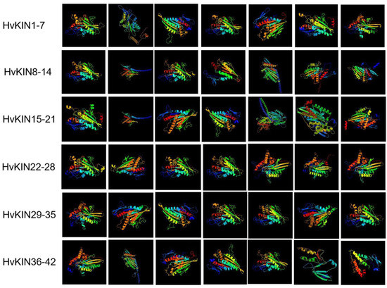 Genome-Wide Identification and Expression Analysis of Kinesin Family in ...