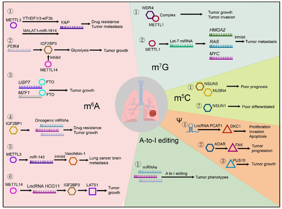 RNA Epigenetics in Chronic Lung Diseases