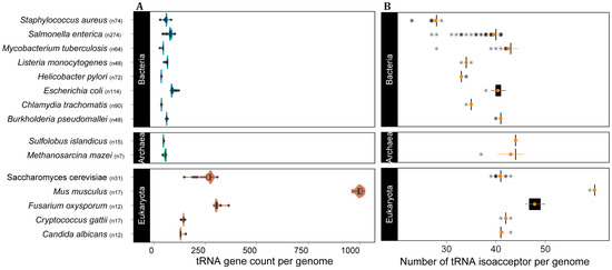 The Evolution of tRNA Copy Number and Repertoire in Cellular Life