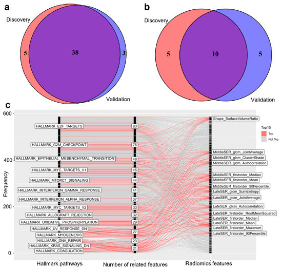 Genes | Free Full-Text | Identifying Associations between DCE-MRI ...