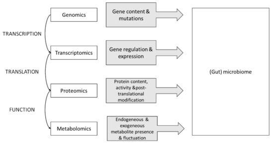 Integrating Rehabilomics into the Multi-Omics Approach in the ...