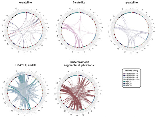 The Dynamic Structure and Rapid Evolution of Human Centromeric ...