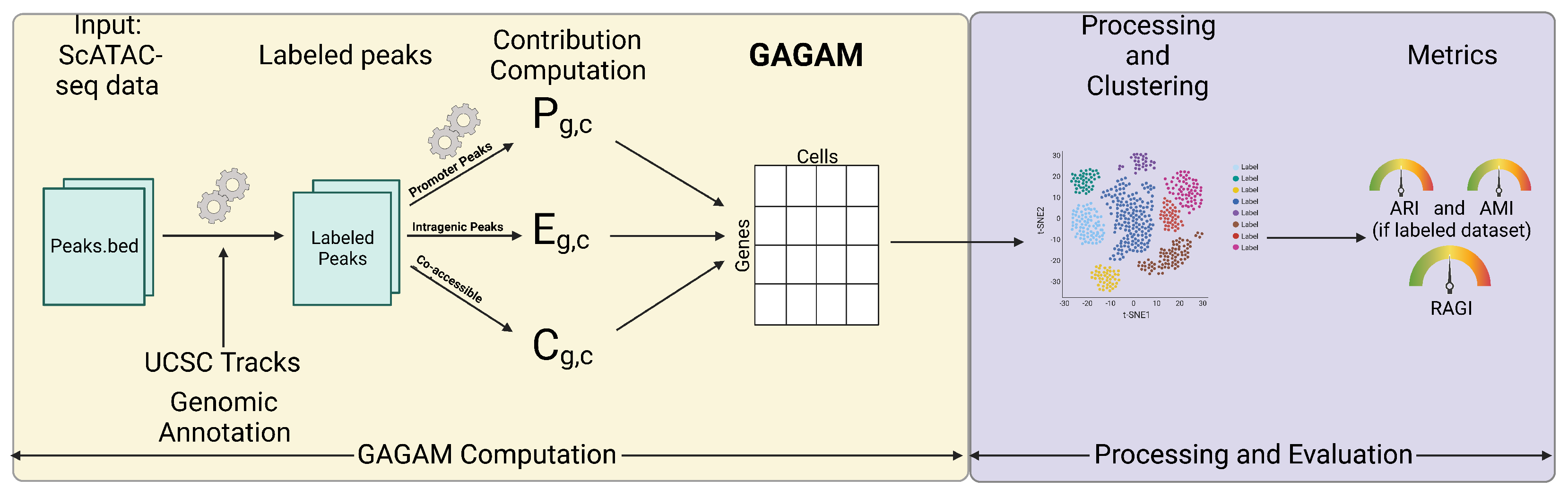 Genes | Free Full-Text | GAGAM v1.2: An Improvement on Peak Labeling and Genomic Annotated Gene ...