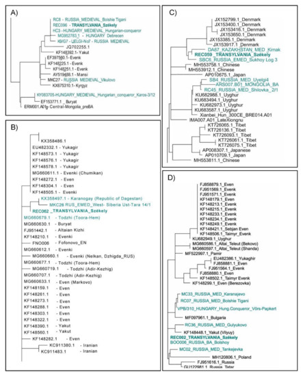 High Coverage Mitogenomes and Y-Chromosomal Typing Reveal Ancient ...
