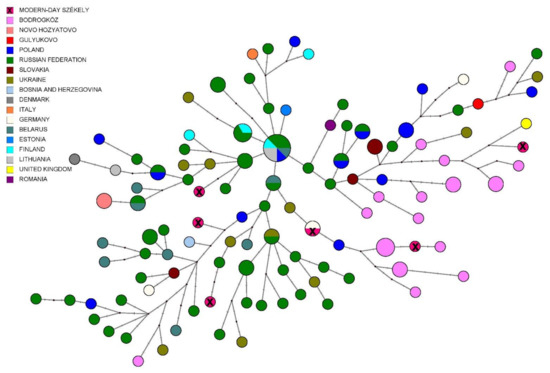 Genes | Free Full-Text | High Coverage Mitogenomes and Y-Chromosomal ...