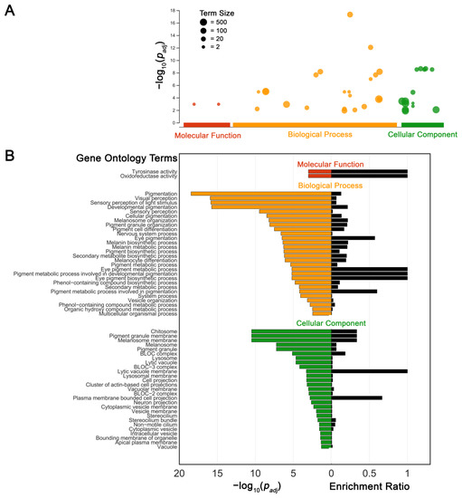 Diagnostic Yield of Genetic Testing for Ocular and Oculocutaneous ...