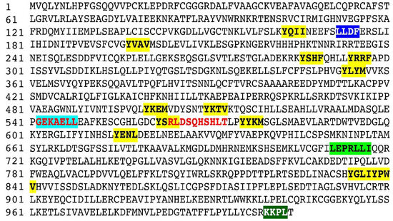 Report Of Hermansky Pudlak Syndrome In Two Families With Novel Variants