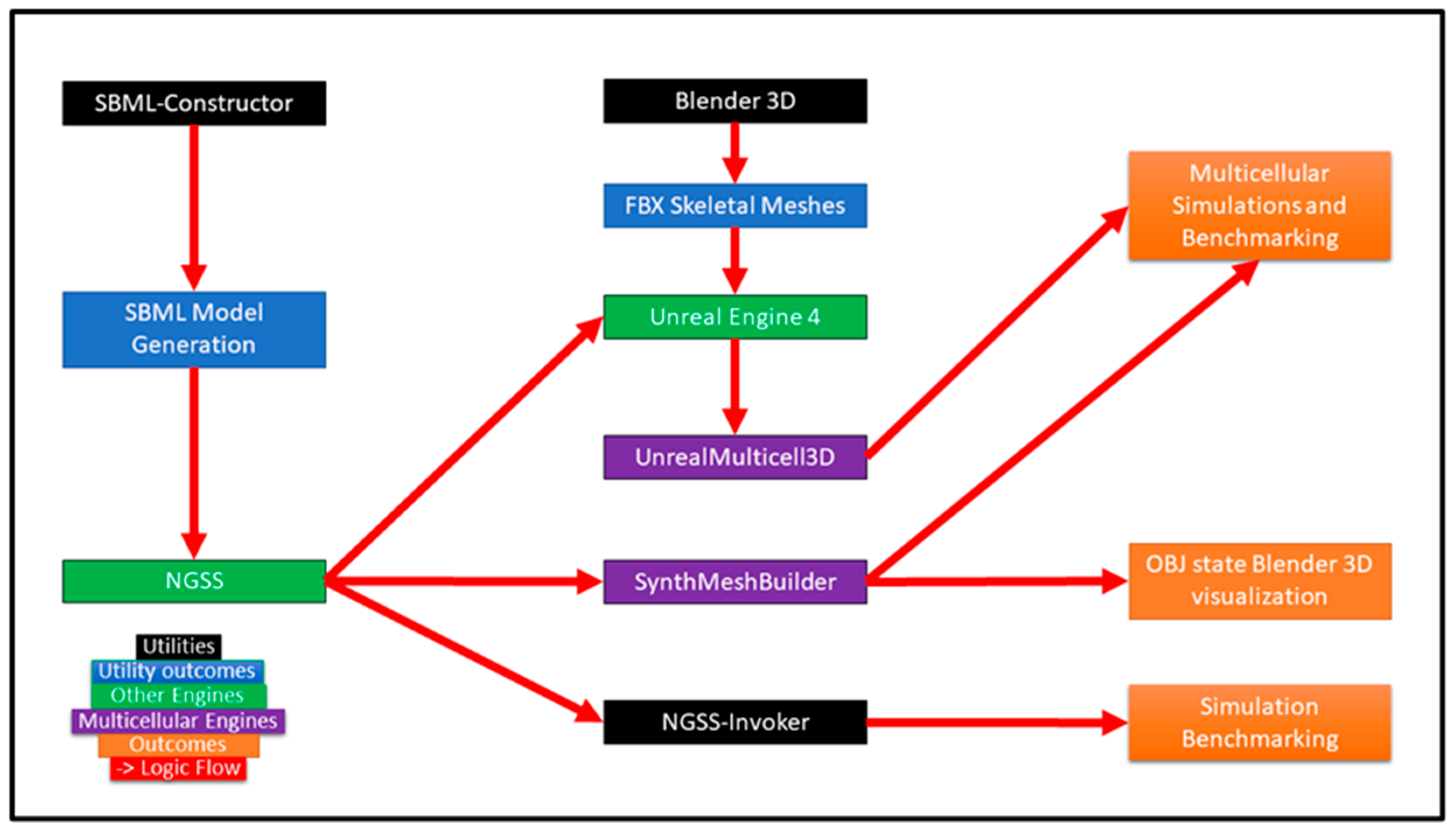 Novel Ground-Up 3D Multicellular Simulators for Synthetic Biology CAD Integrating Stochastic ...