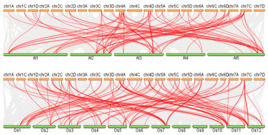 Genome-Wide Analysis and Expression of the GRAS Transcription Factor ...