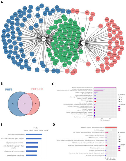 Functional Characterization of a Phf8 Processed Pseudogene in the Mouse ...
