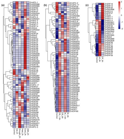 Wide-Range Portrayal of AP2/ERF Transcription Factor Family in Maize ...