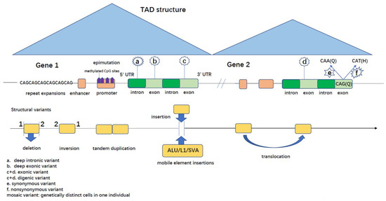 The Power of Clinical Diagnosis for Deciphering Complex Genetic ...