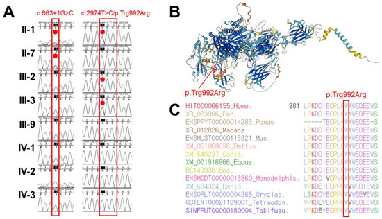 Miyoshi Muscular Dystrophy Type 1 with Mutated DYSF Gene Misdiagnosed ...