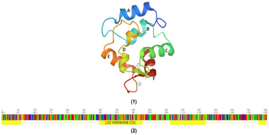 Genes | Free Full-Text | Parvalbumin: A Major Fish Allergen and a ...