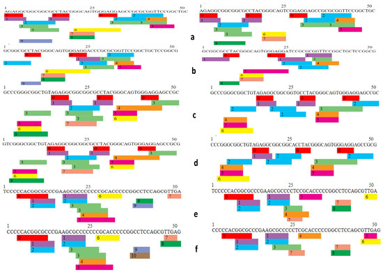 Investigation of UTR Variants by Computational Approaches Reveal Their ...