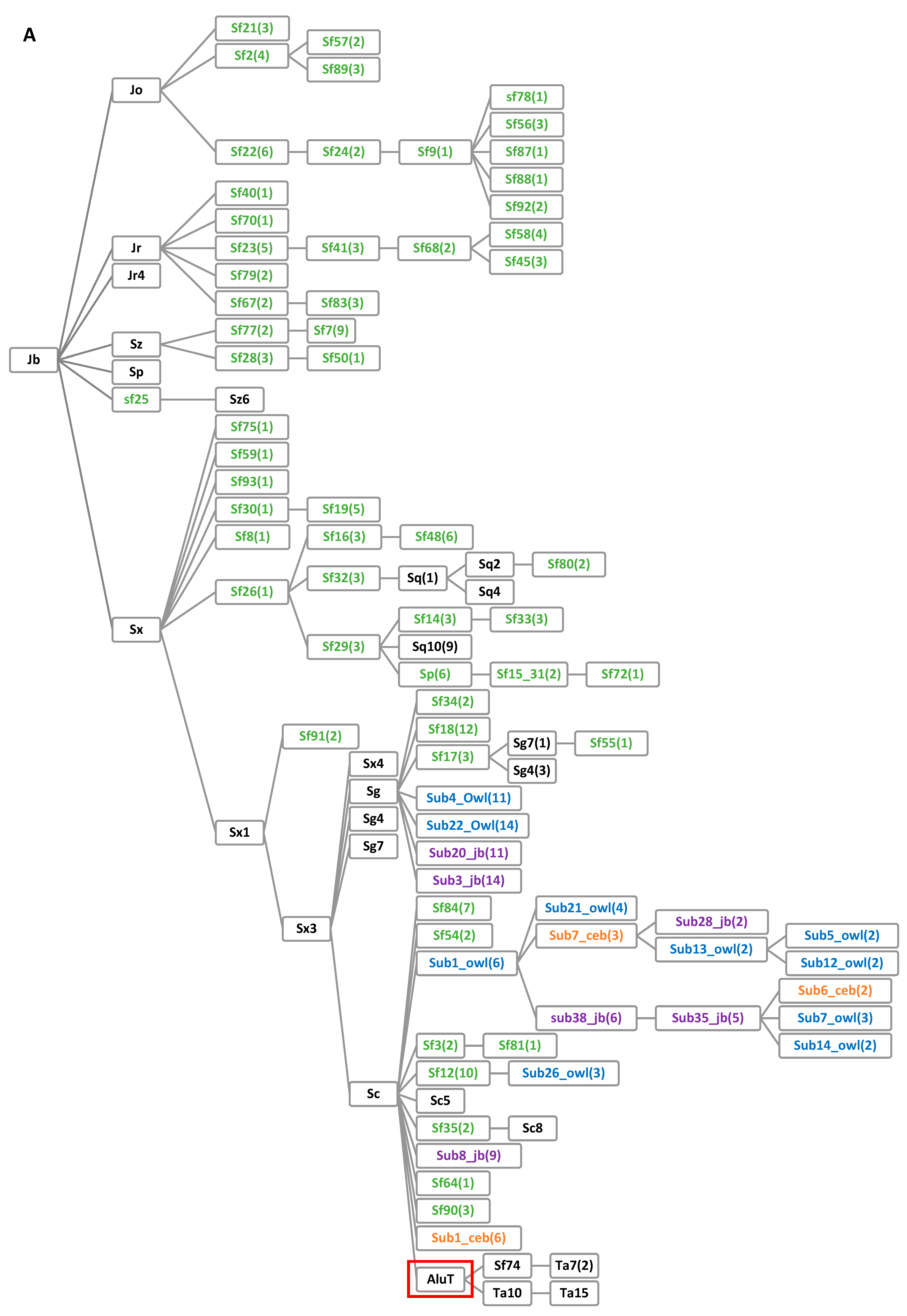 Framework of the Alu Subfamily Evolution in the Platyrrhine Three ...