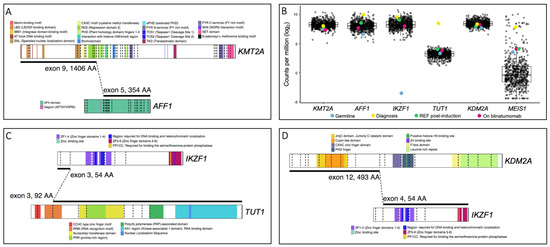 Case Report: Rare IKZF1 Gene Fusions Identified in Neonate with ...