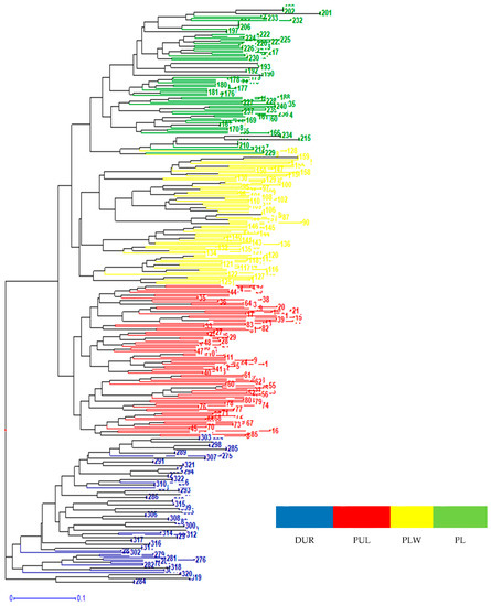 Genetic Diversity and Population Structure of the Native Pulawska and ...