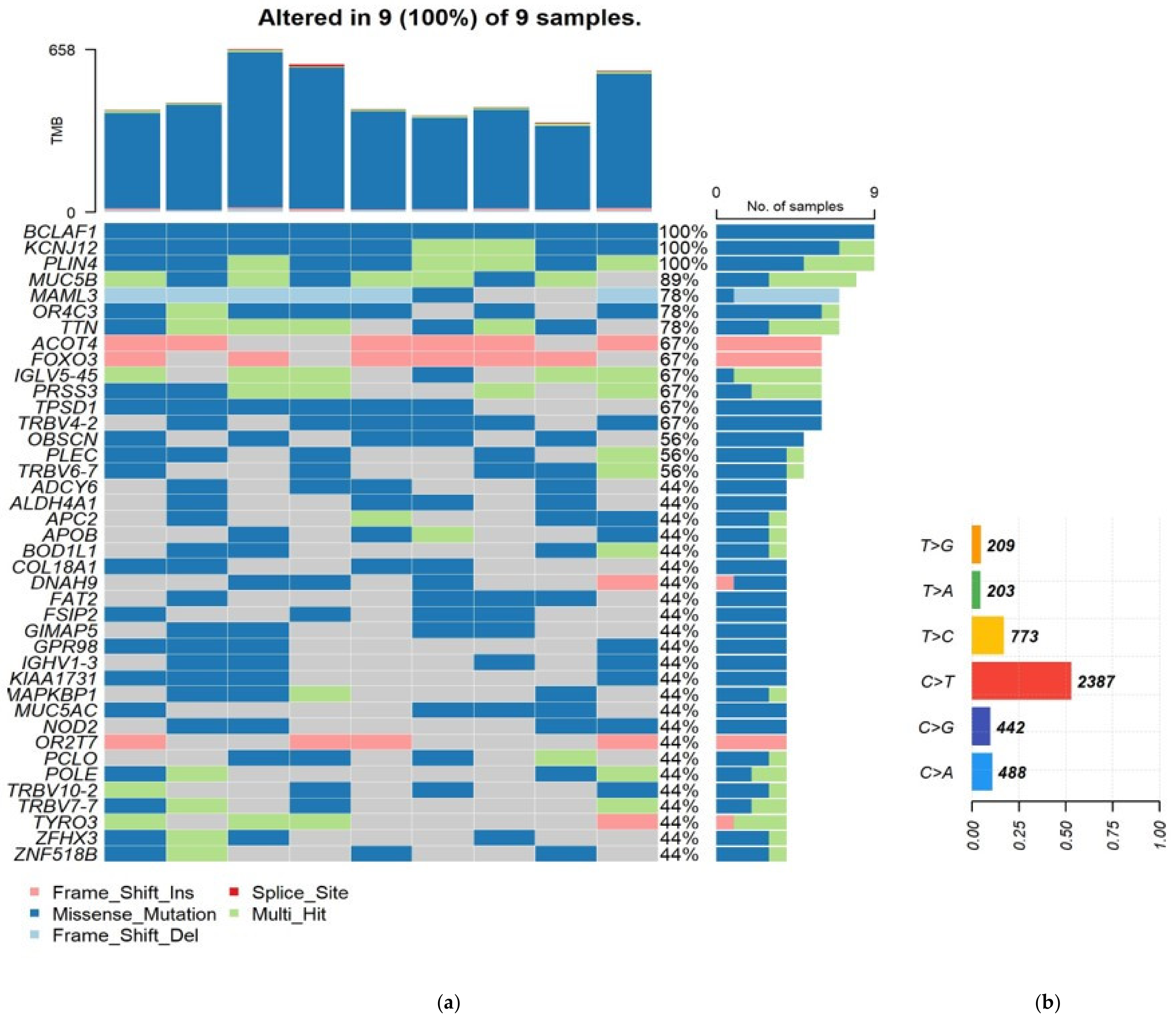 Whole Exome Sequencing Study Suggests an Impact of FANCA, CDH1 and ...