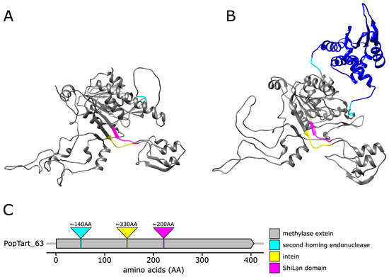 The Evolutionary History of a DNA Methylase Reveals Frequent Horizontal ...