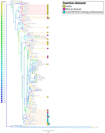 The Evolutionary History of a DNA Methylase Reveals Frequent Horizontal ...