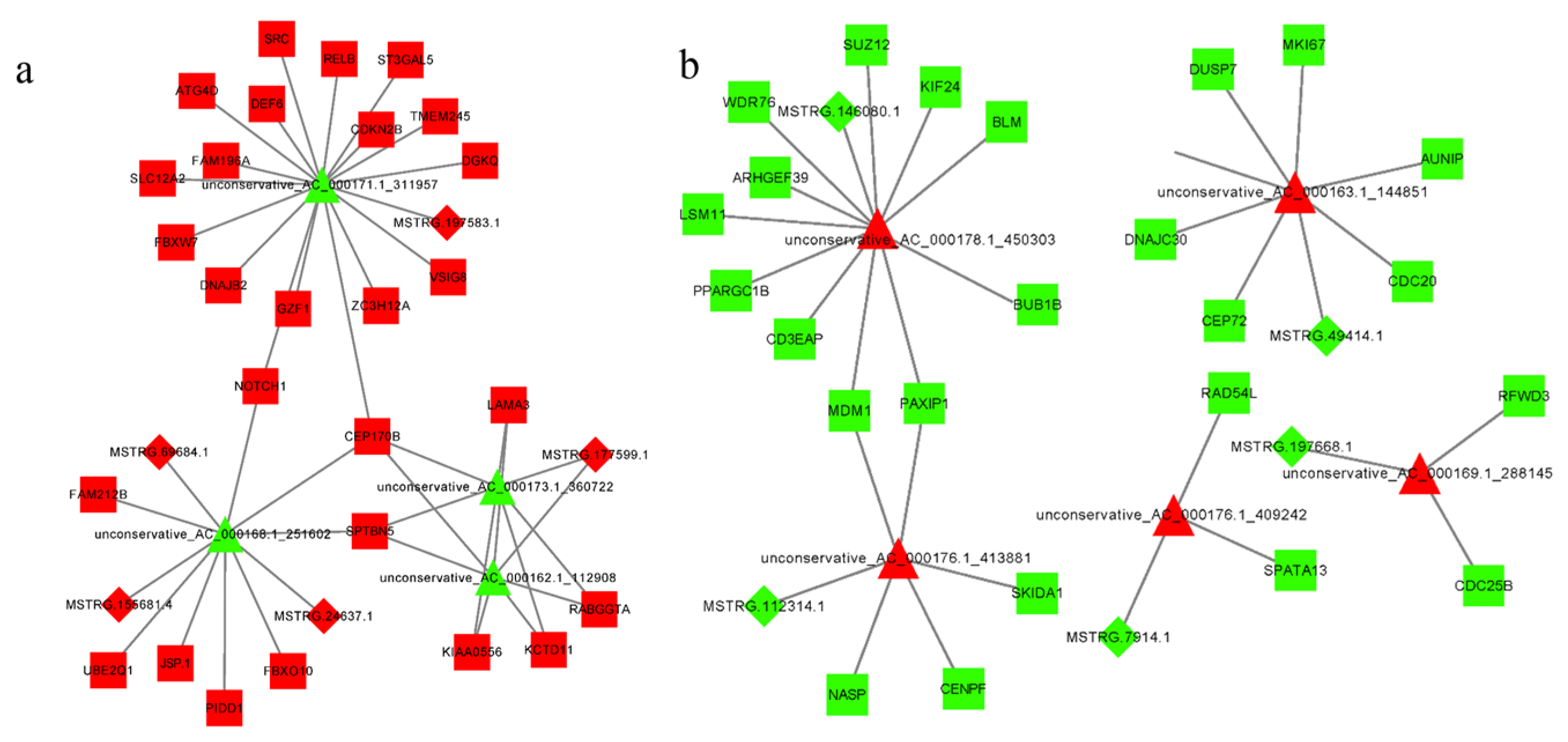Genes | Free Full-Text | DNA Double-Strand Break-Related Competitive ...