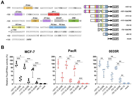 ABCB1 Amplicon Contains Cyclic AMP Response Element-Driven TRIP6 Gene ...
