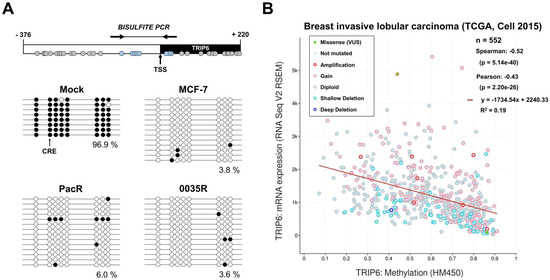 ABCB1 Amplicon Contains Cyclic AMP Response Element-Driven TRIP6 Gene ...