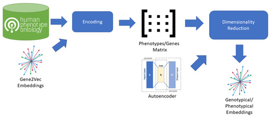 Using Machine Learning to Explore Shared Genetic Pathways and Possible ...