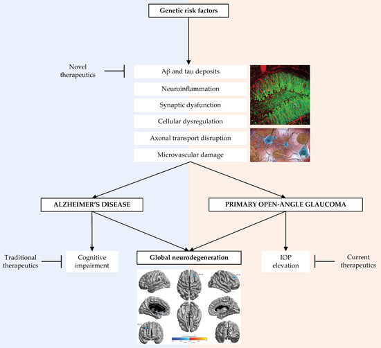 Genetic Factors Implicated in the Investigation of Possible Connections ...